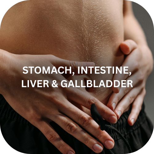 胃、腸、肝、膽 – Hevert.hk
