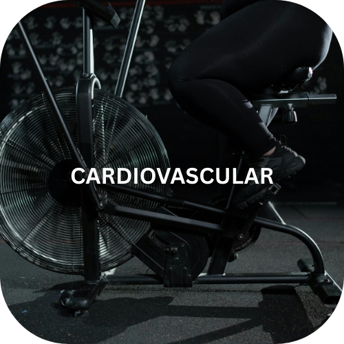 Cardiovascular – Hevert.hk